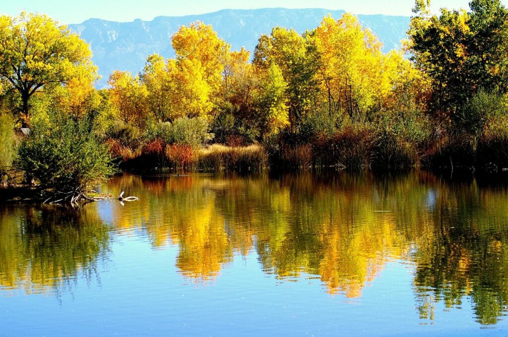 River Country Nature Center: Discovering the Marvels of Local Wildlife ...